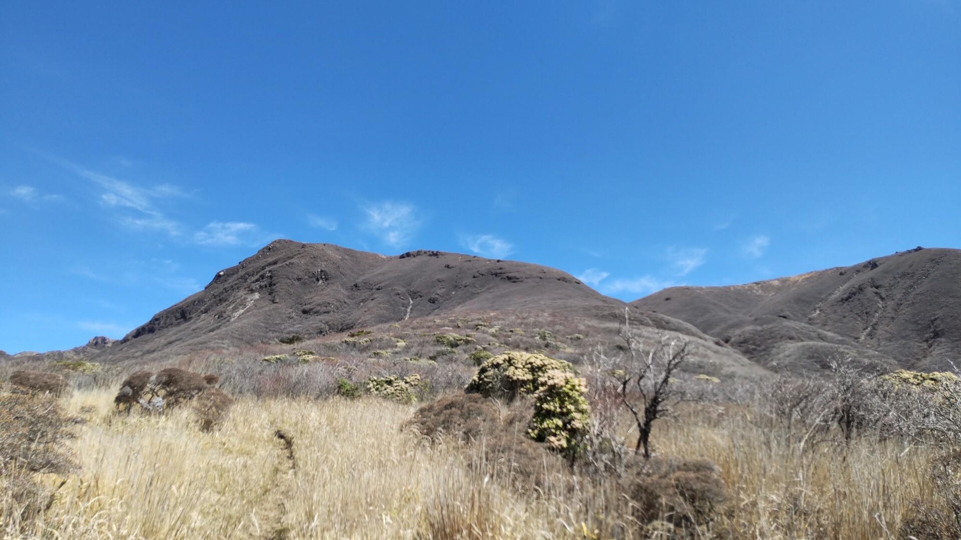 赤川登山口から久住山へ / Naoboさんの九重山（久住山）・大船山・星生山の活動データ | YAMAP / ヤマップ