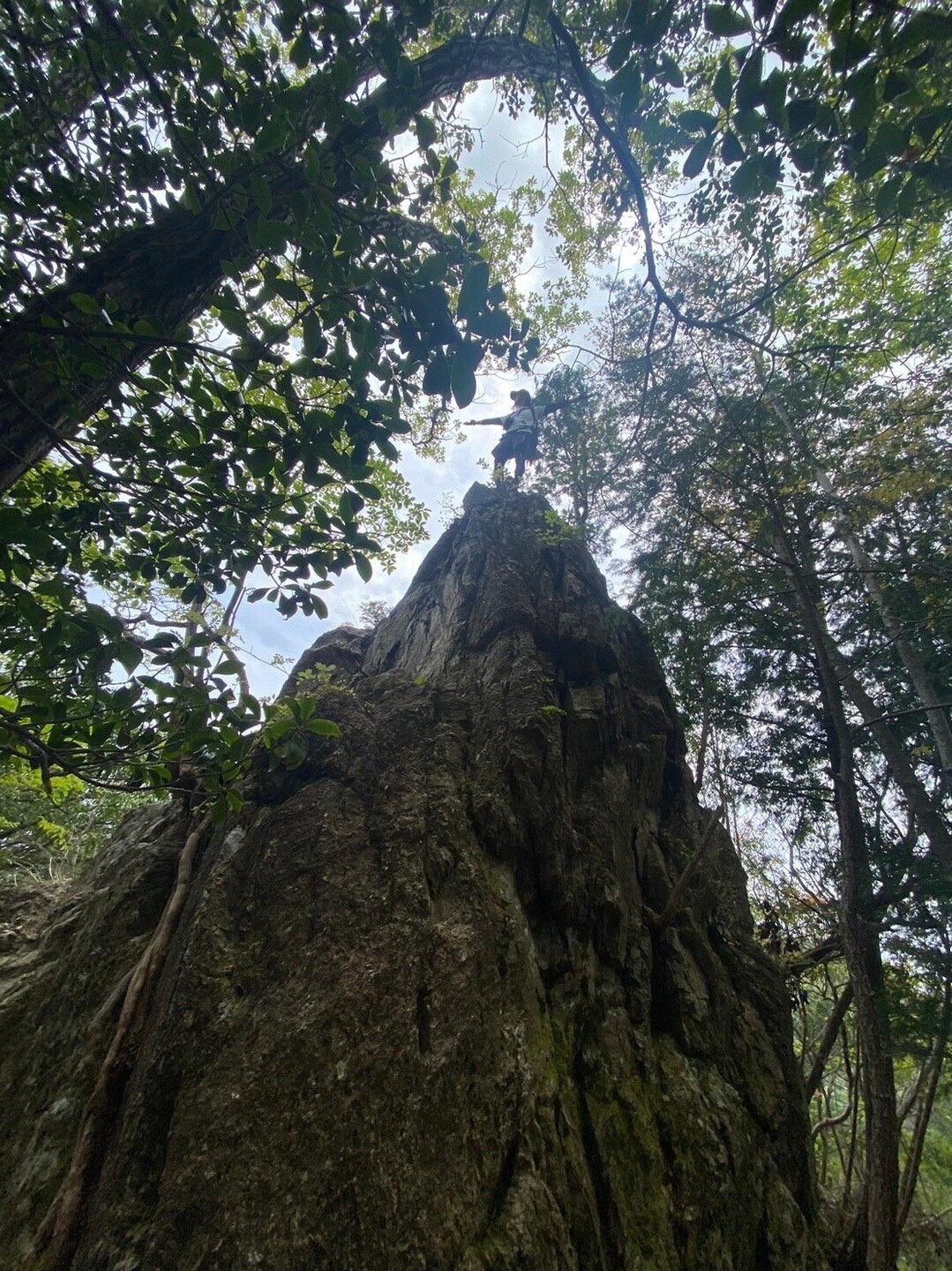 雪彦山・地蔵岳・大天井岳 / BAR AFPさんの雪彦山の活動日記 | YAMAP / ヤマップ