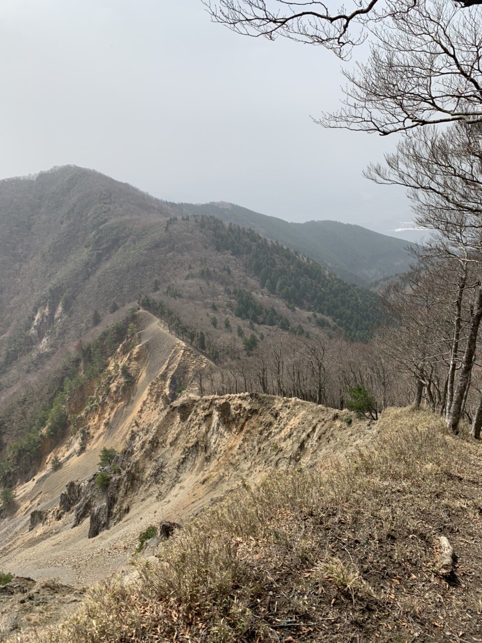 綿向山〜おかわり登山〜 Ucanさんの綿向山の活動データ Yamap ヤマップ