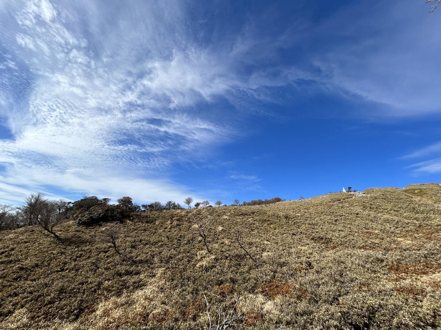 御在所岳 / yunyoさんの御在所岳（御在所山）・雨乞岳の活動データ | YAMAP / ヤマップ
