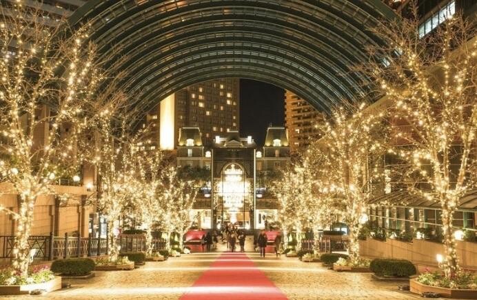 happy Merry Xmas🎄 ... / くるみさんのモーメント | YAMAP / ヤマップ