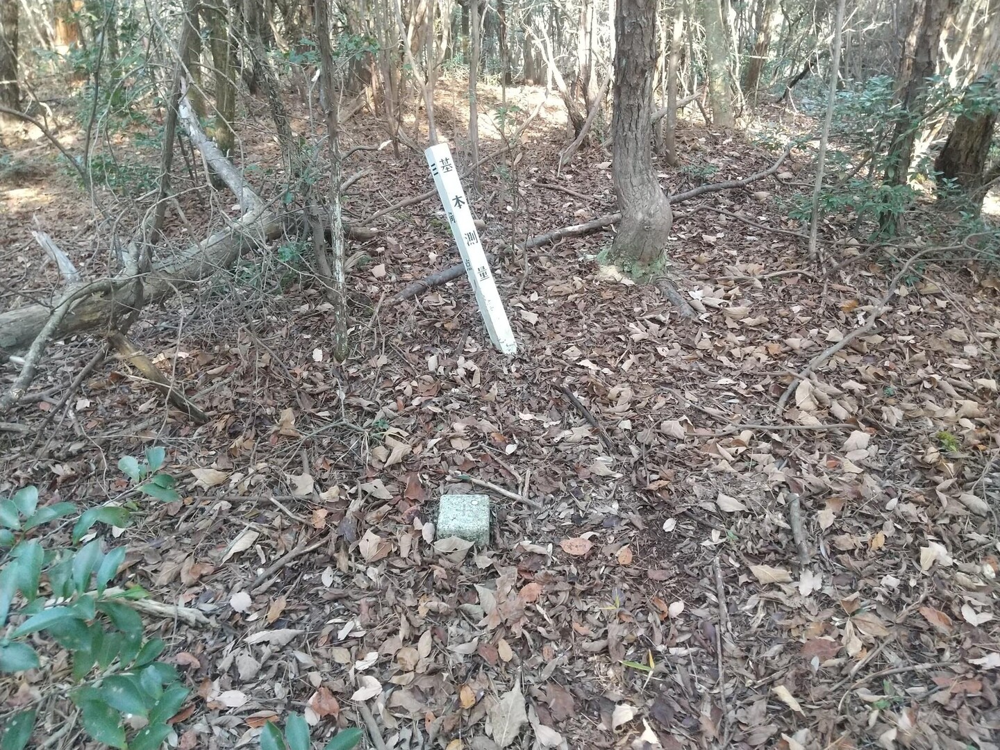 ソロ練→ 137 / hottyさんの春日井三山・弥勒山・大谷山・道樹山の活動データ | YAMAP / ヤマップ