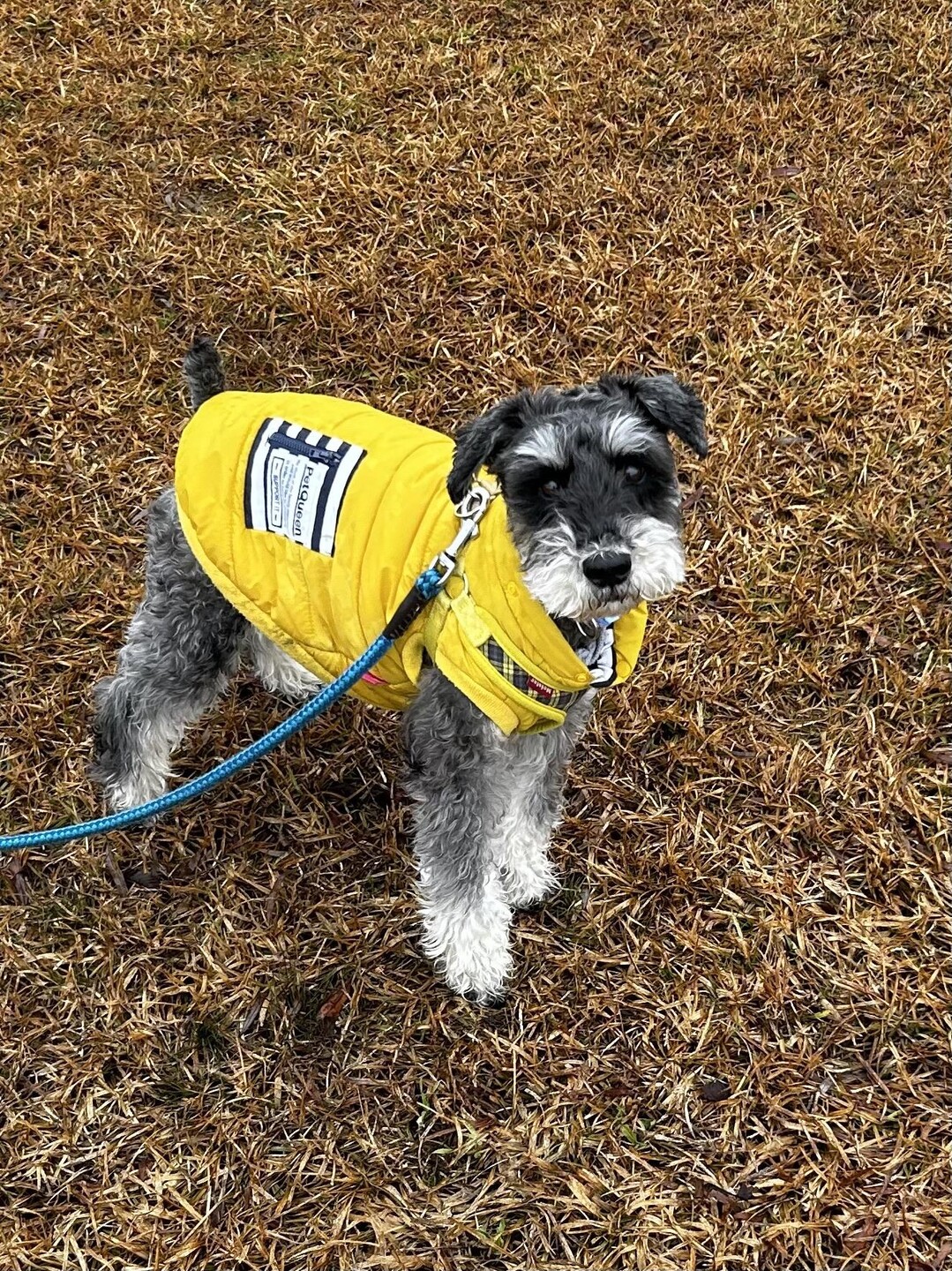 こんにちは☔️ 雨降りの中、クン活に忙し... / キムサママさんのモーメント | YAMAP / ヤマップ