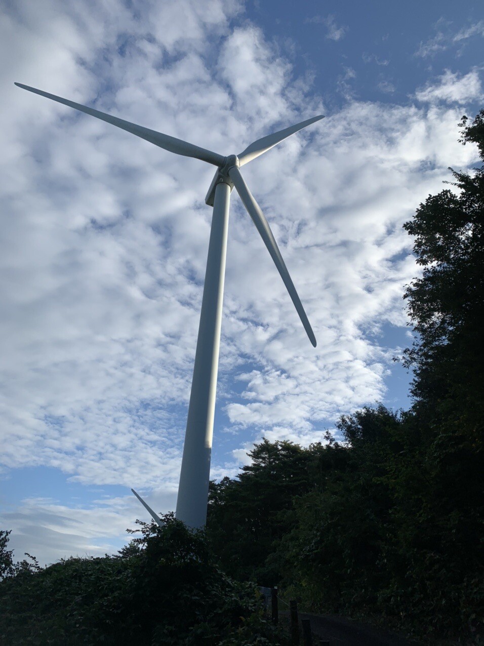 珠洲風力発電所と宝立山・宝嶺山ランニング / Y45Uさんの能登半島北部の活動データ | YAMAP / ヤマップ