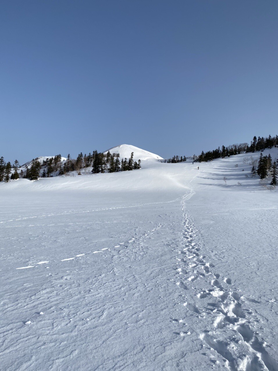 火打山 / mk_013さんの妙高山・火打山の活動データ | YAMAP / ヤマップ