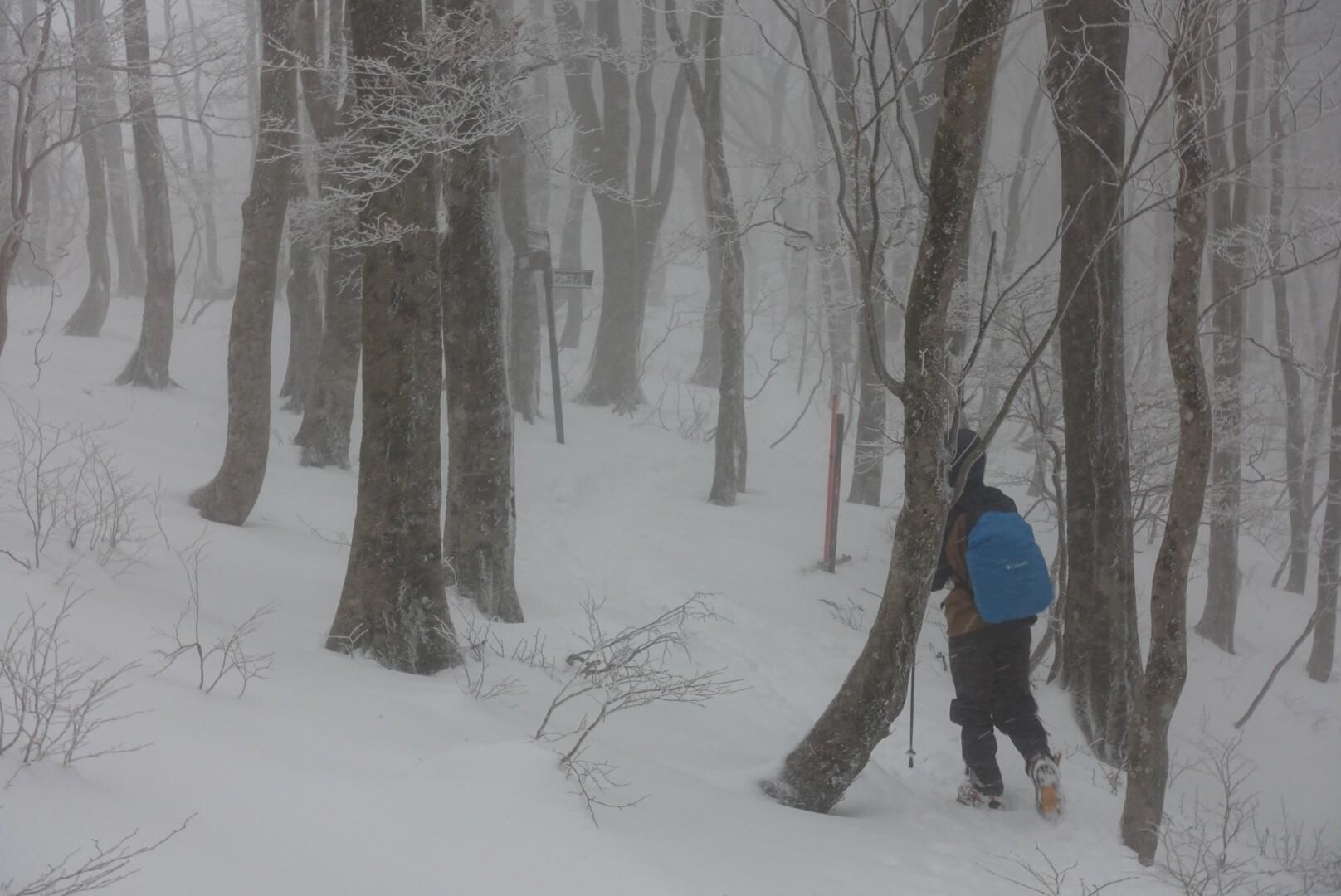 武奈ヶ岳 / jackalさんの比良山地・武奈ヶ岳・釈迦岳の活動データ | YAMAP / ヤマップ