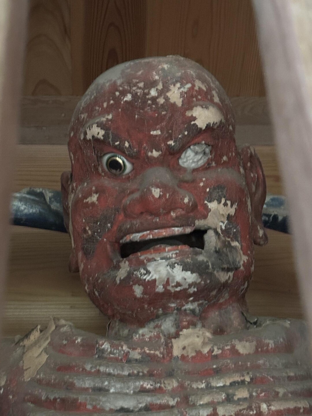 星上山 ️⭐️ ️ / SKYさんの京羅木山・星上山の活動データ | YAMAP / ヤマップ