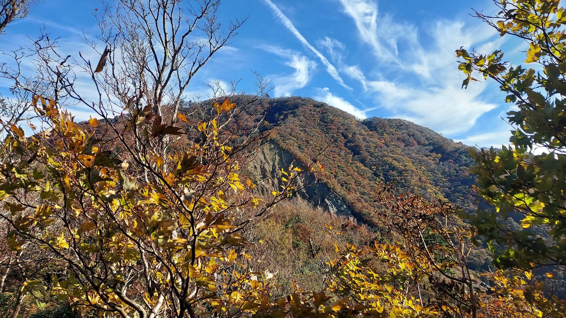 綿向山 染まる鈴鹿山系 / tolucky(^^)さんの綿向山の活動データ | YAMAP / ヤマップ