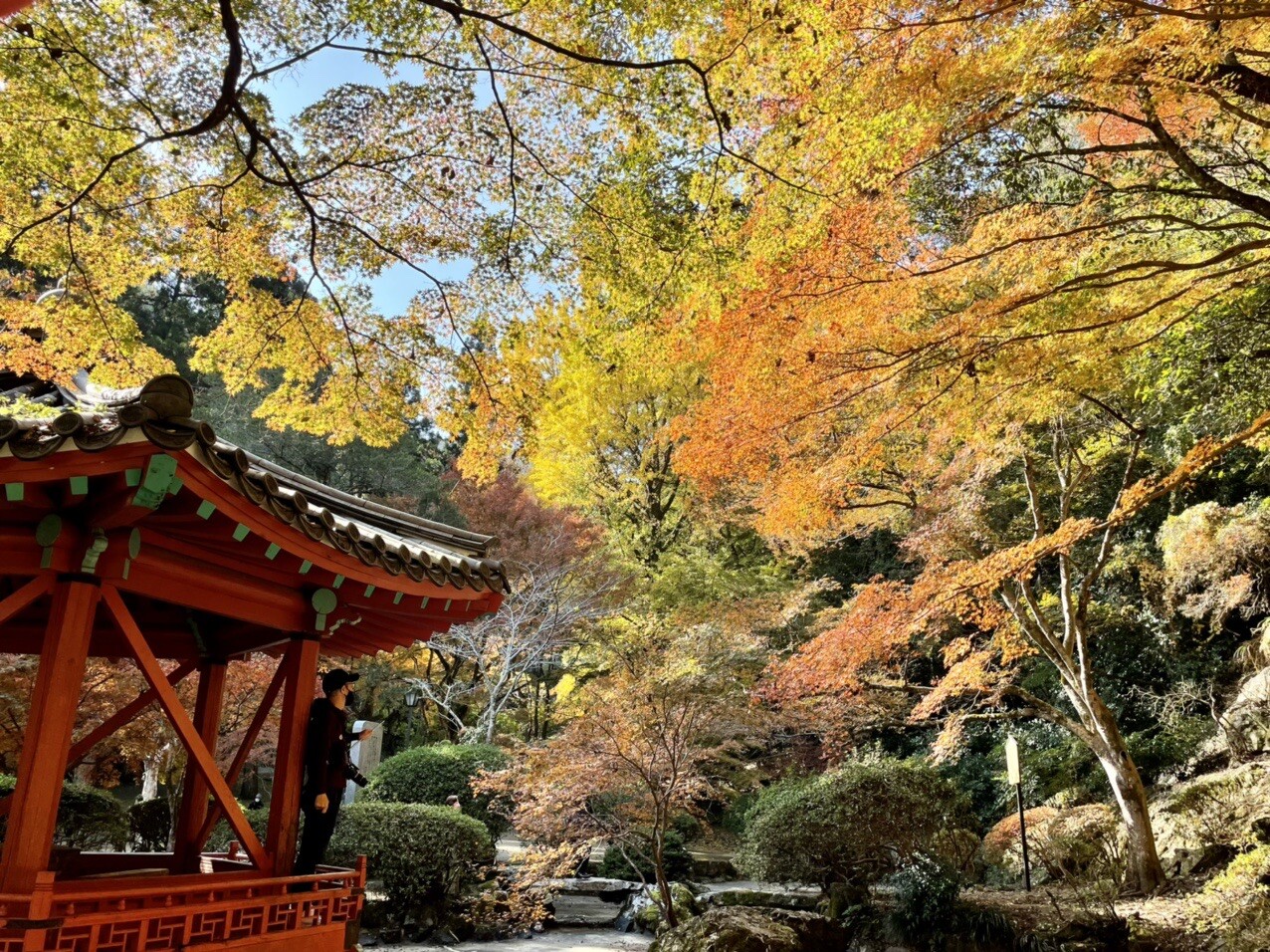 岩国紅葉谷公園🍁 人多かったです。 / GONKEさんのモーメント | YAMAP / ヤマップ