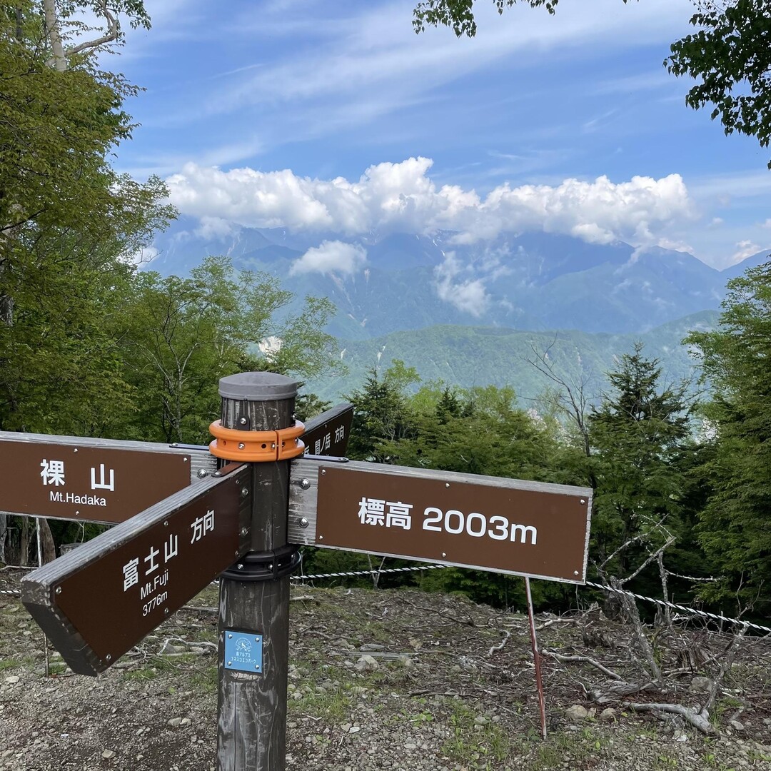 2024.06.12奥仙重・櫛形山・裸山 / tmkさんの櫛形山・裸山・唐松岳の活動データ | YAMAP / ヤマップ