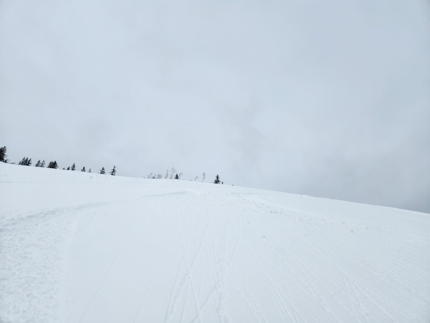 Day 12 Asahikawa / vivanoriさんのモーメント | YAMAP / ヤマップ