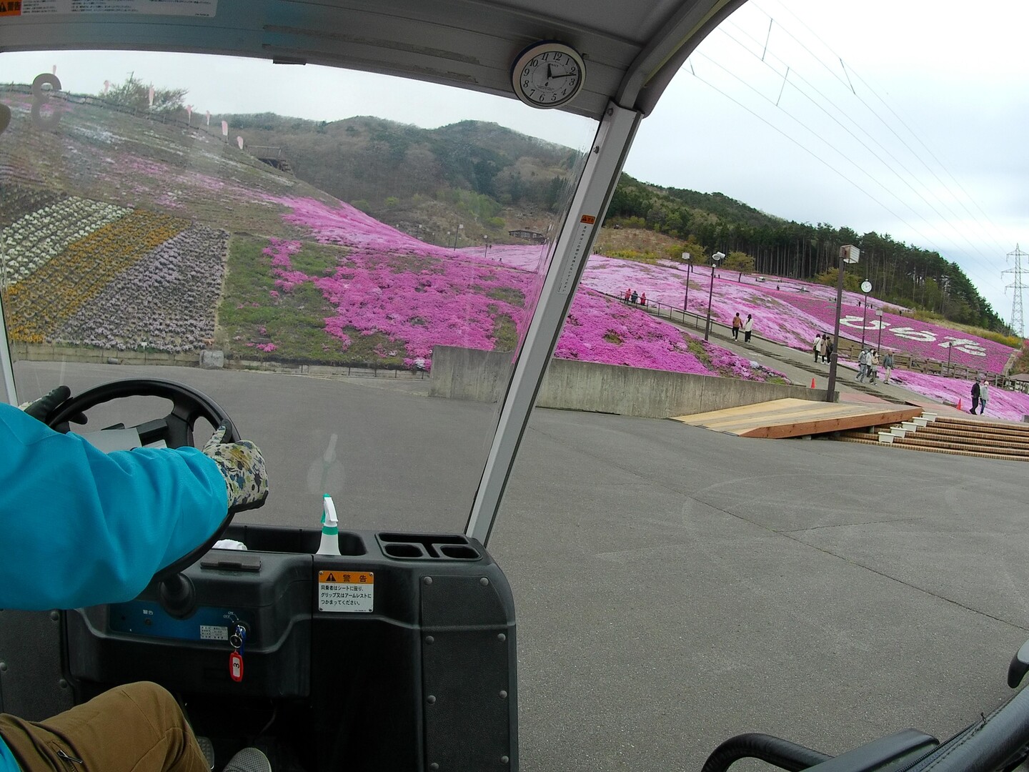 福島県平田村ジュピアランドひらた「芝桜祭... / maru esuさんのモーメント | YAMAP / ヤマップ