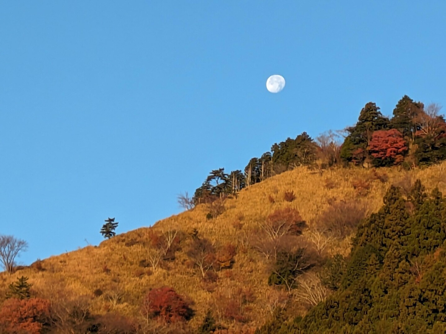 粟ヶ岳36 / AWA-MANさんの粟ヶ岳の活動データ | YAMAP / ヤマップ