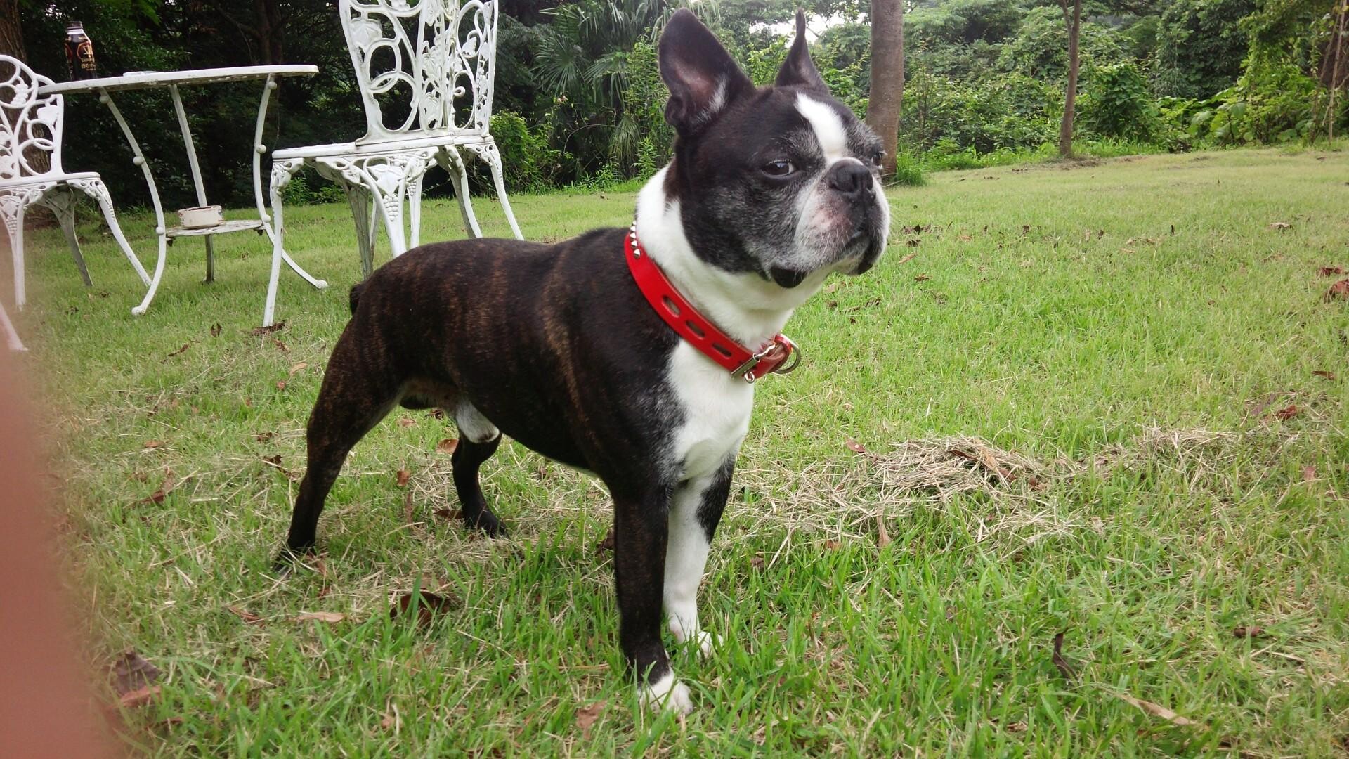 kazzのページ | YAMAP / ヤマップ