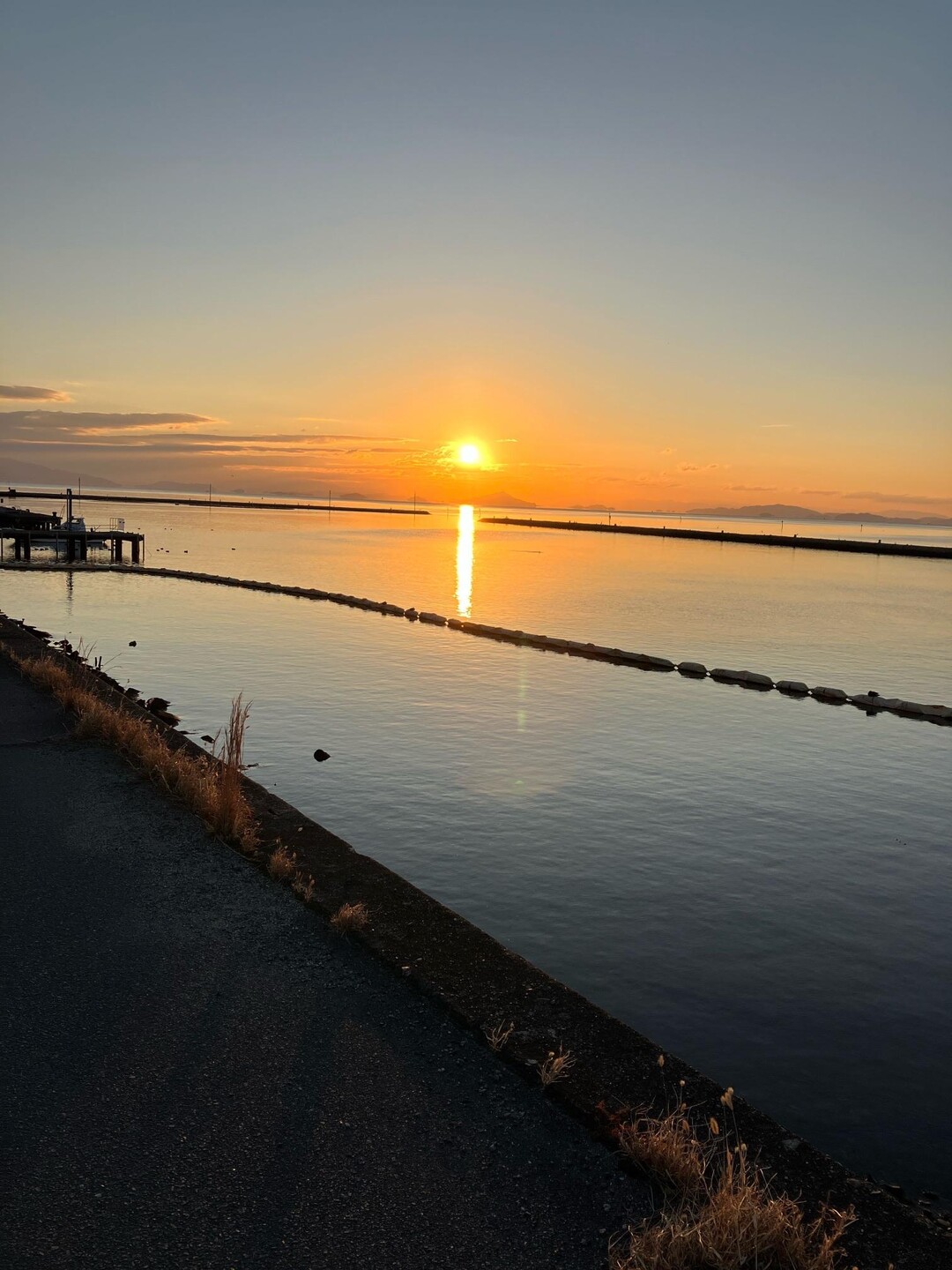 20240108 20kmラン2 / としぞうさんの米山・大応山の活動データ | YAMAP / ヤマップ