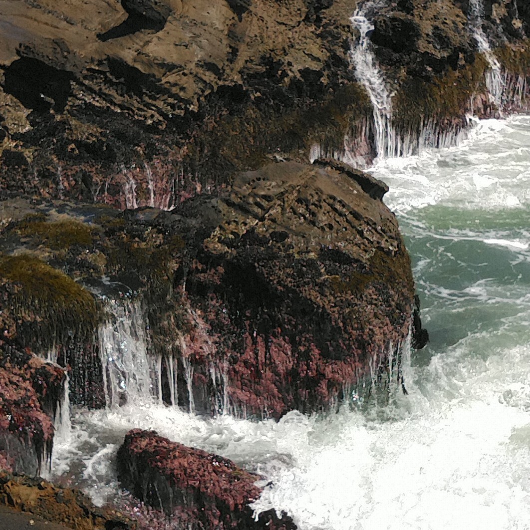 何年ぶりになるかな…海を見るのは / としさんのモーメント | YAMAP / ヤマップ