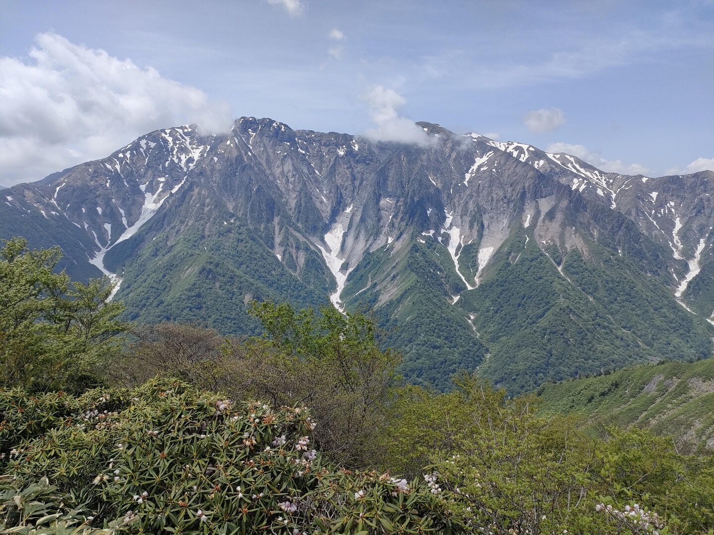 白毛門23.05.21 / hirokyuuさんの朝日岳の活動データ | YAMAP / ヤマップ