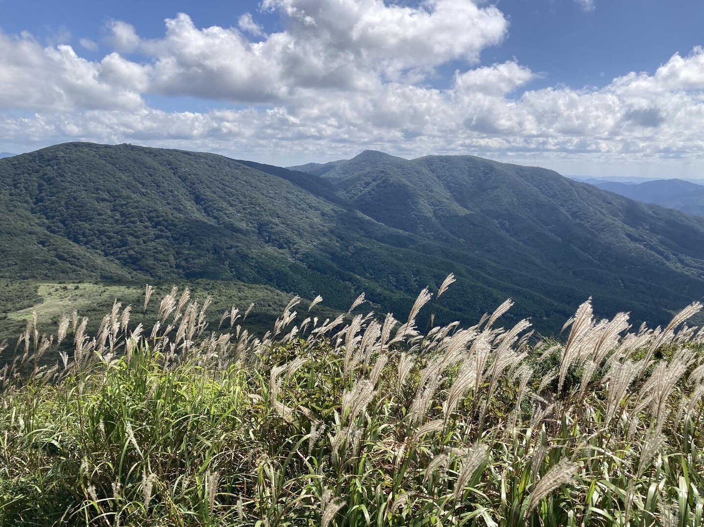 吾妻山 / fumiconさんの比婆山・立烏帽子山・吾妻山の活動データ | YAMAP / ヤマップ