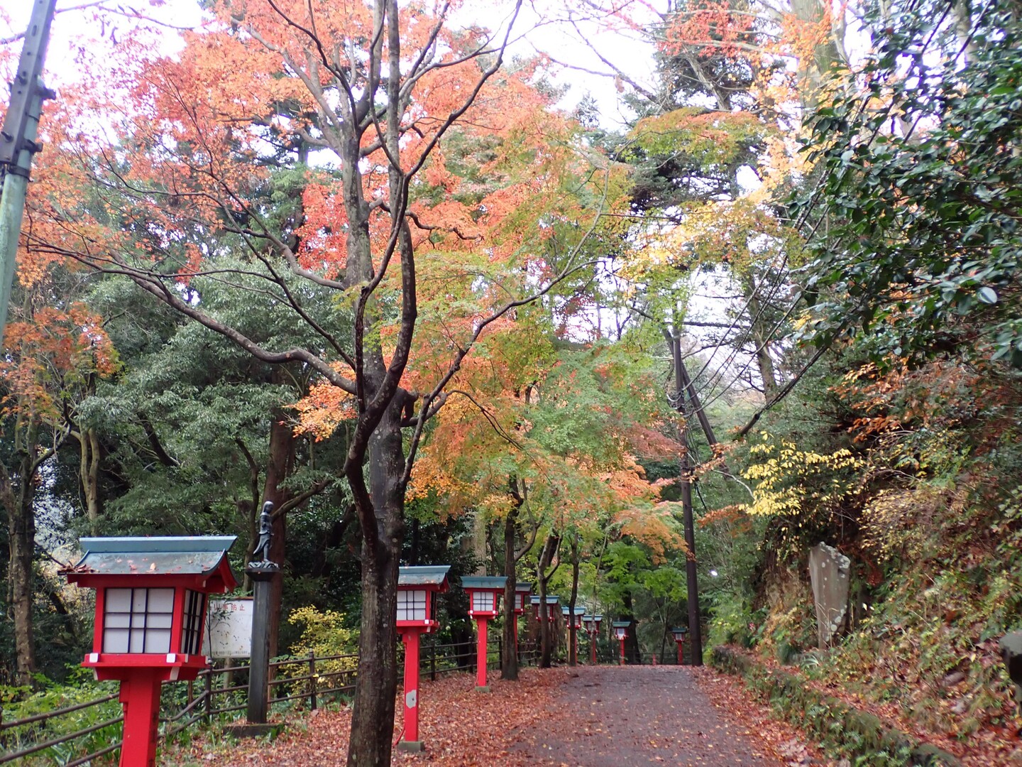 今日も元気に『高尾山』 / ザッキーさんの高尾山・陣馬山・景信山の活動データ | YAMAP / ヤマップ