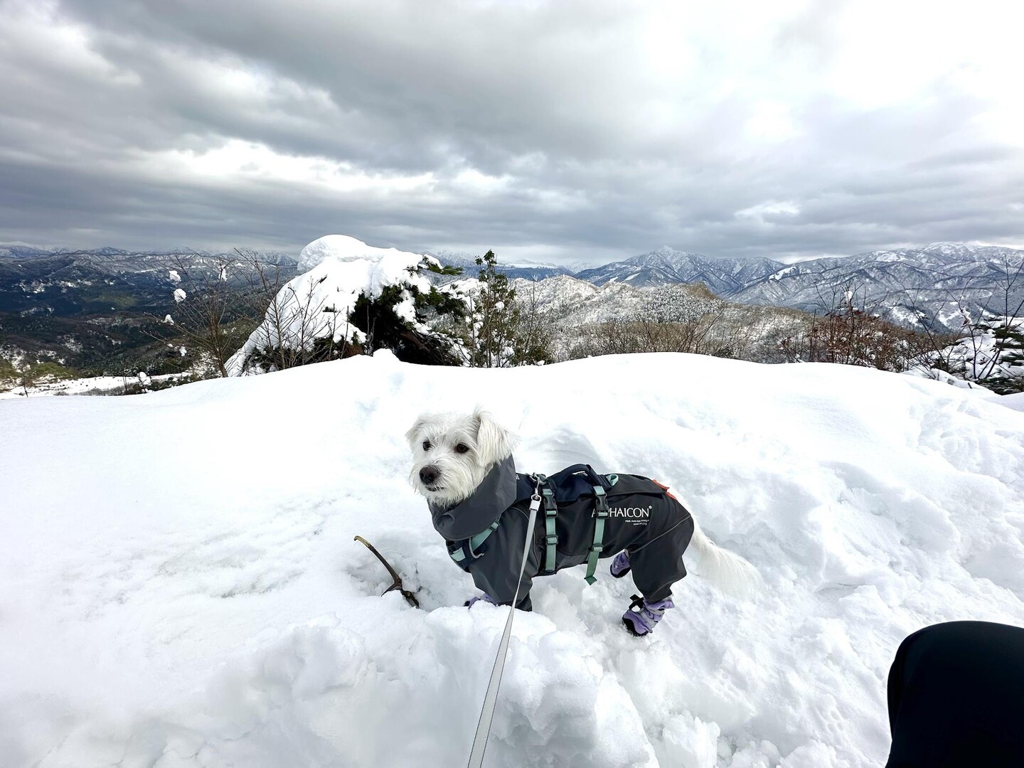 元日の尖山🎍 / aoさんの尖山の活動データ | YAMAP / ヤマップ