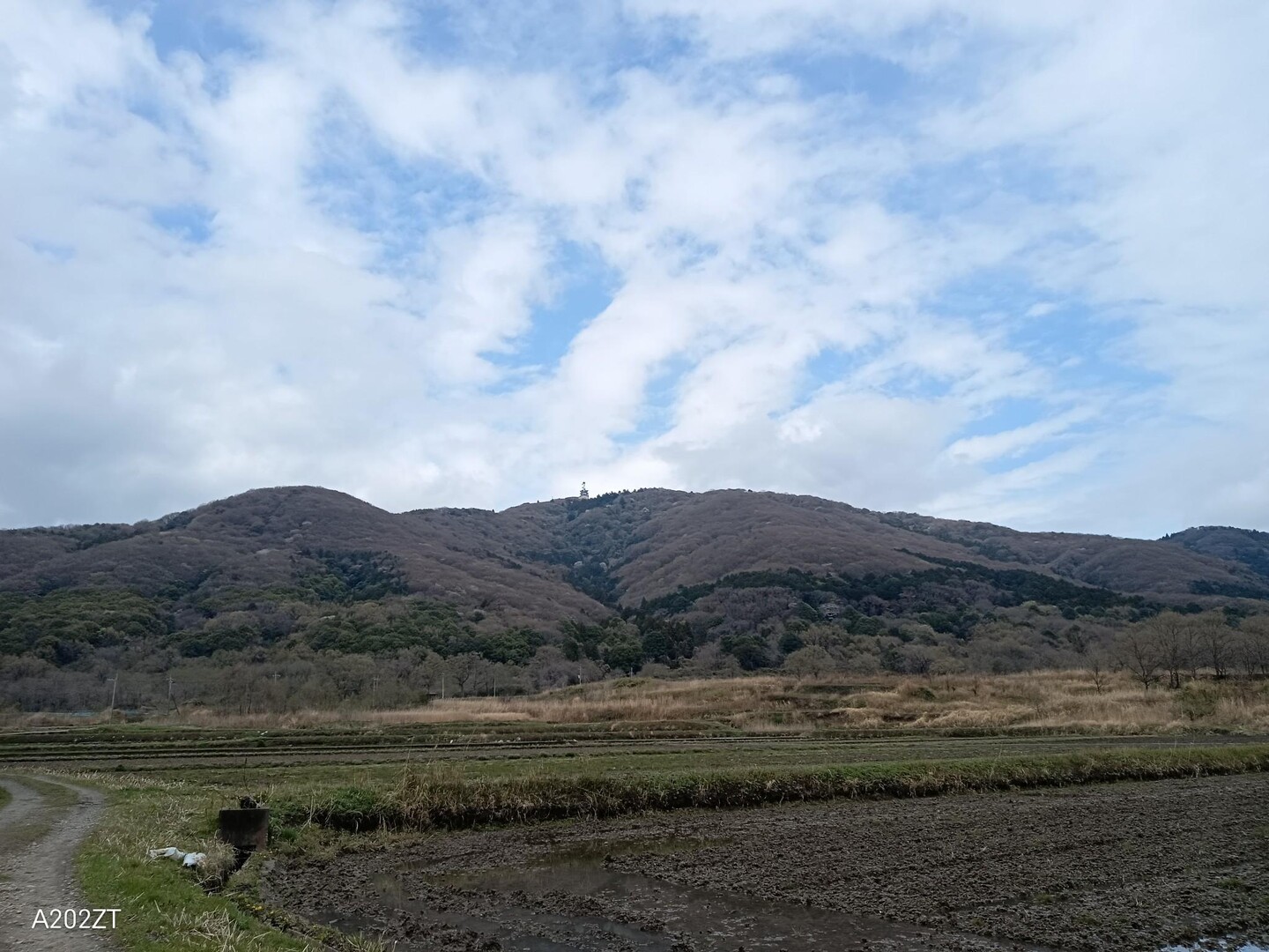 宝篋山-2024-04-04 / MONICAさんのウォーキングの活動データ | YAMAP / ヤマップ