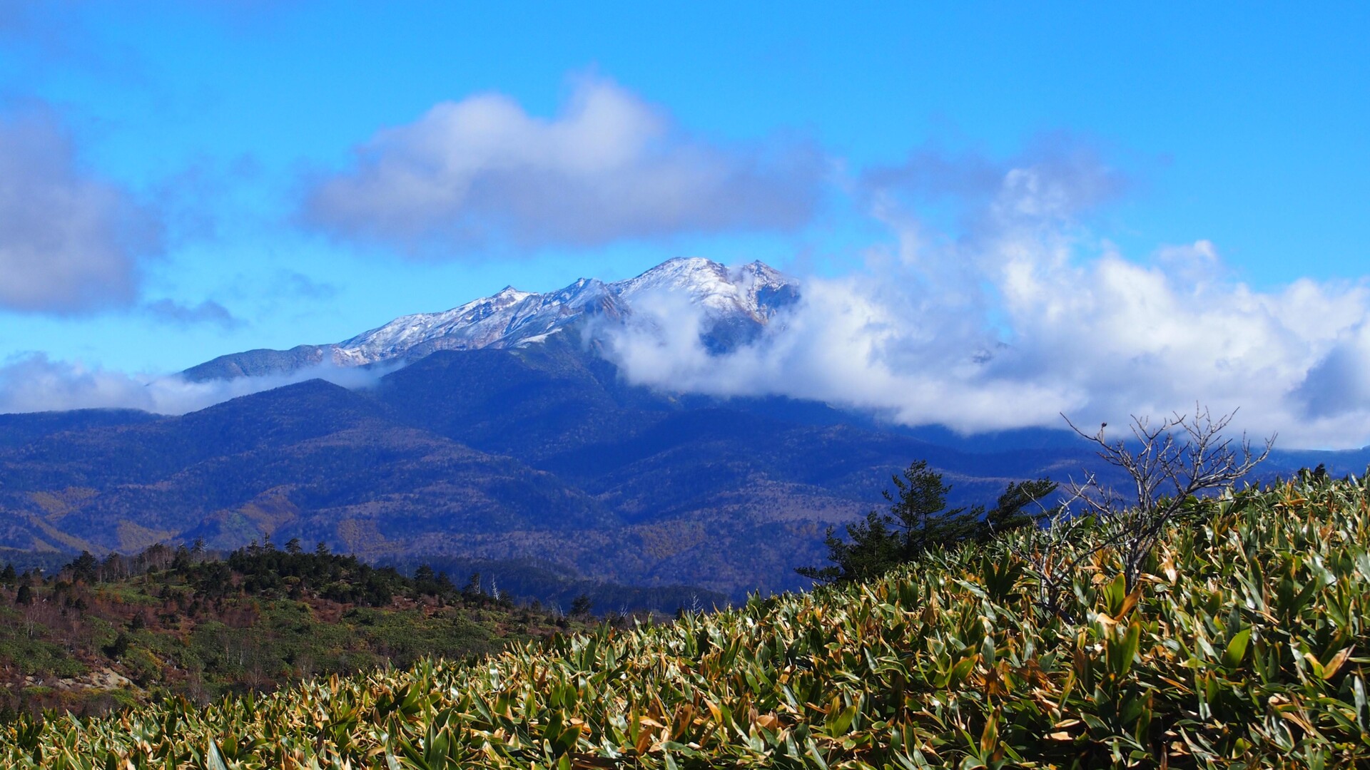 箱岩山・白草山 / たかさんs37さんの白草山・寺田小屋山の活動データ | YAMAP / ヤマップ