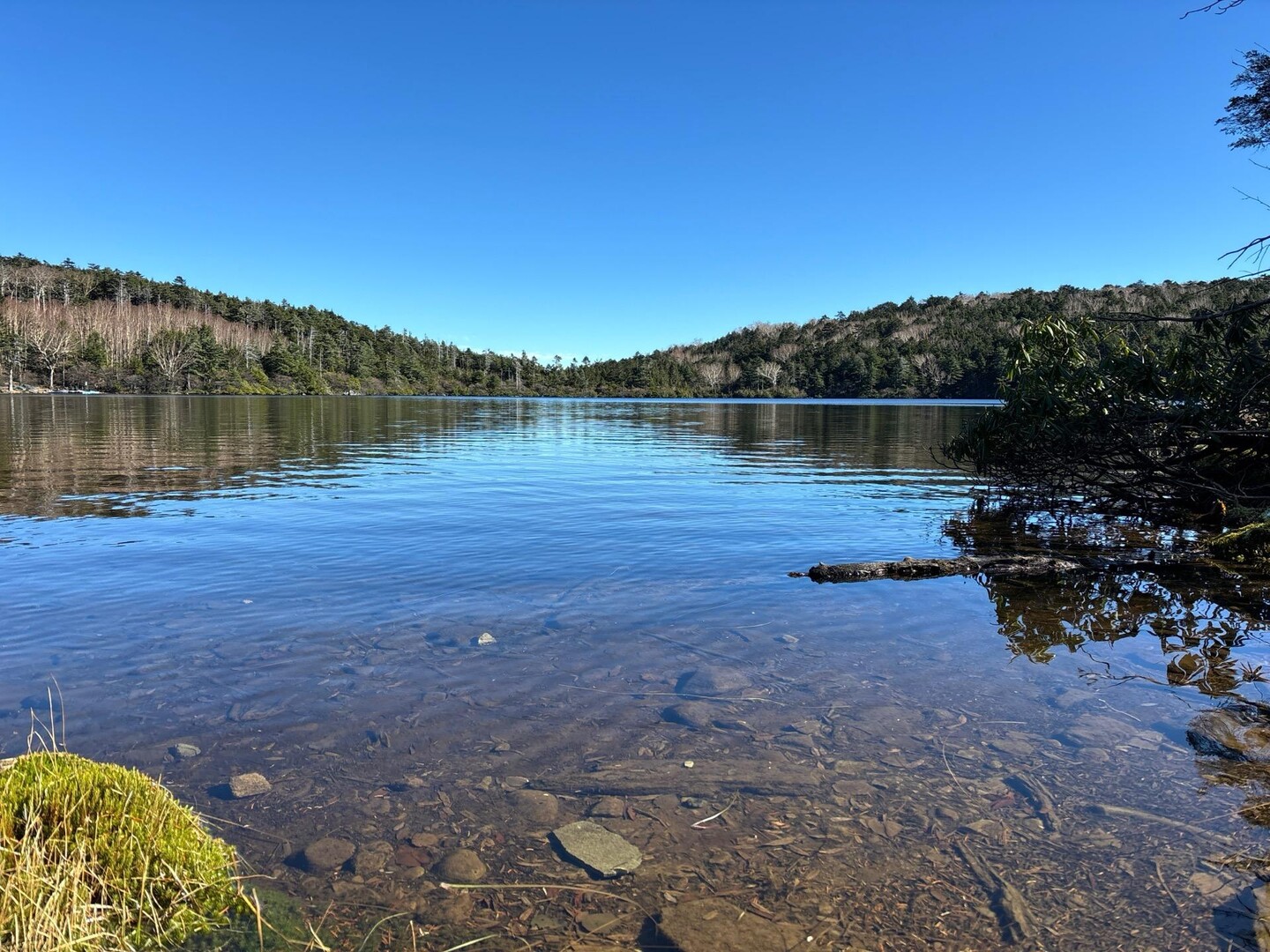 丸山(茅野市・佐久穂町) / tokoさんの八ヶ岳（赤岳・硫黄岳・天狗岳）の活動データ | YAMAP / ヤマップ