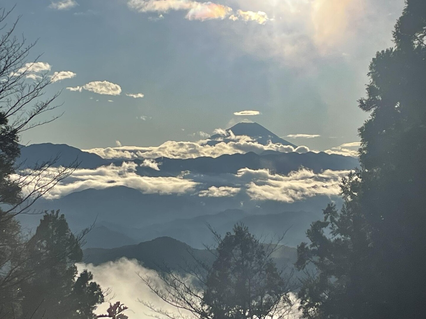 afternoon T (TAKAO) / 第二の小ピーク(ニピー)さんの高尾山・陣馬山・景信山の活動日記 | YAMAP / ヤマップ