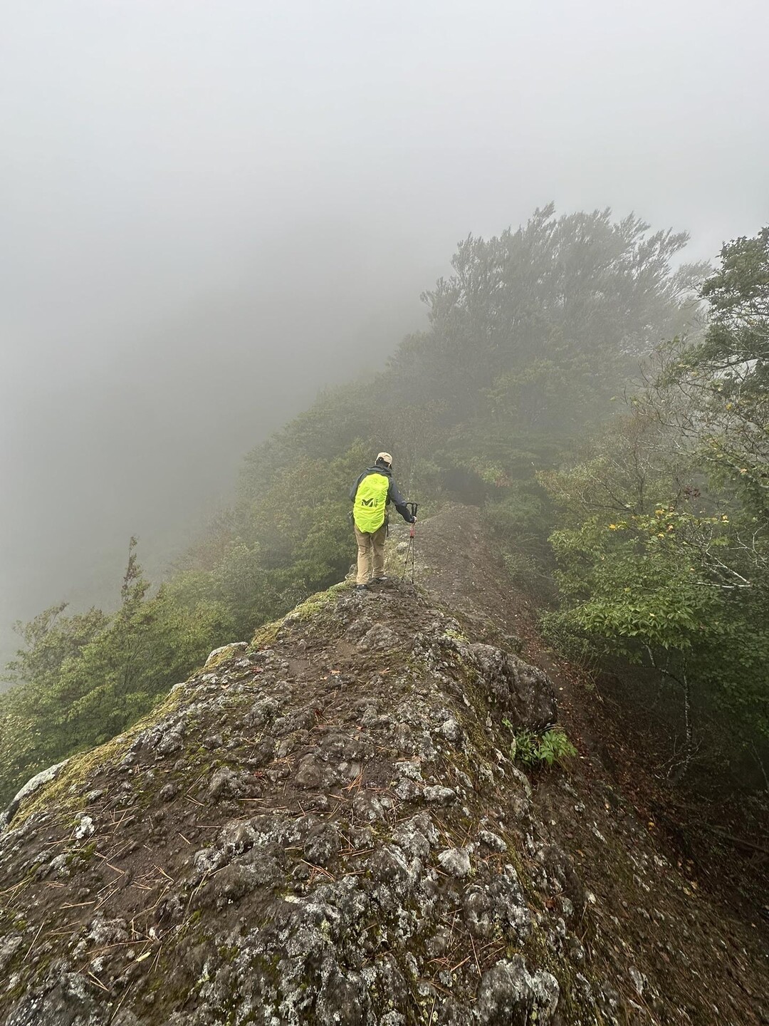 霧の中の青葉山🗻 / ns.smさんの青葉山の活動データ | YAMAP / ヤマップ