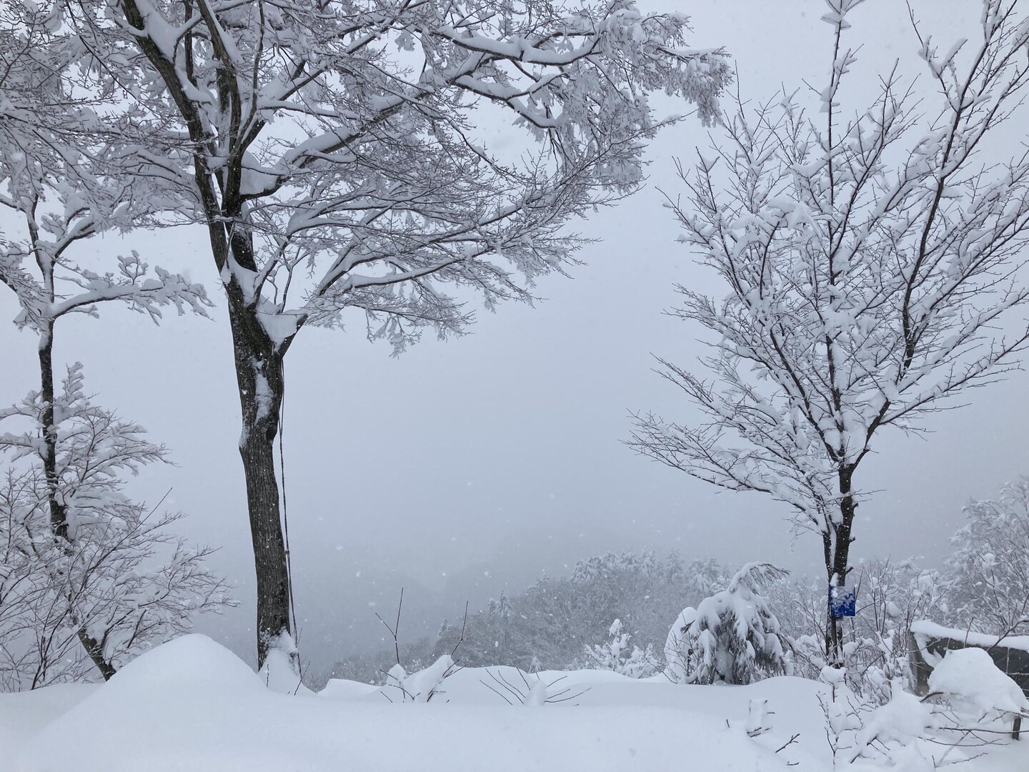 文殊山 / mi_chicoさんの文殊山の活動データ | YAMAP / ヤマップ