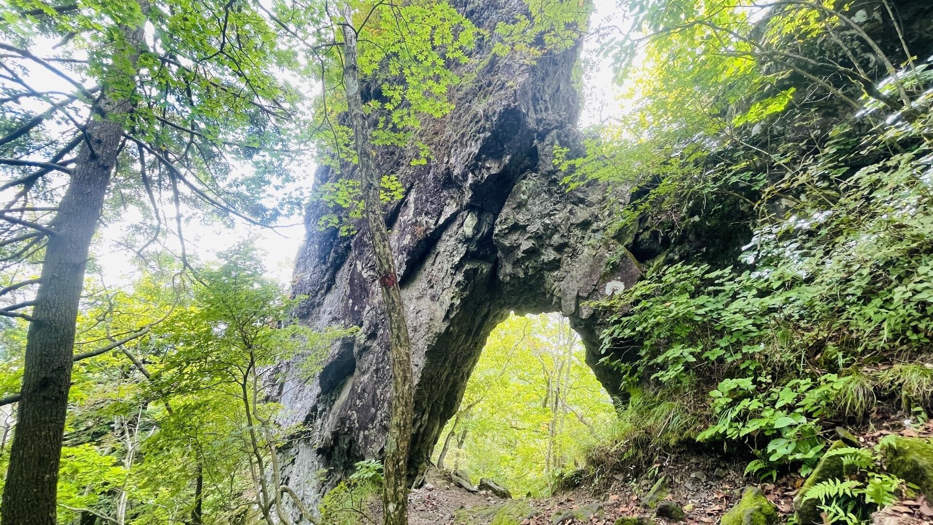 4日目PM 茅ヶ岳周回コース⛰️ / Nikoさんの茅ヶ岳・金ヶ岳・太刀岡山の活動データ | YAMAP / ヤマップ