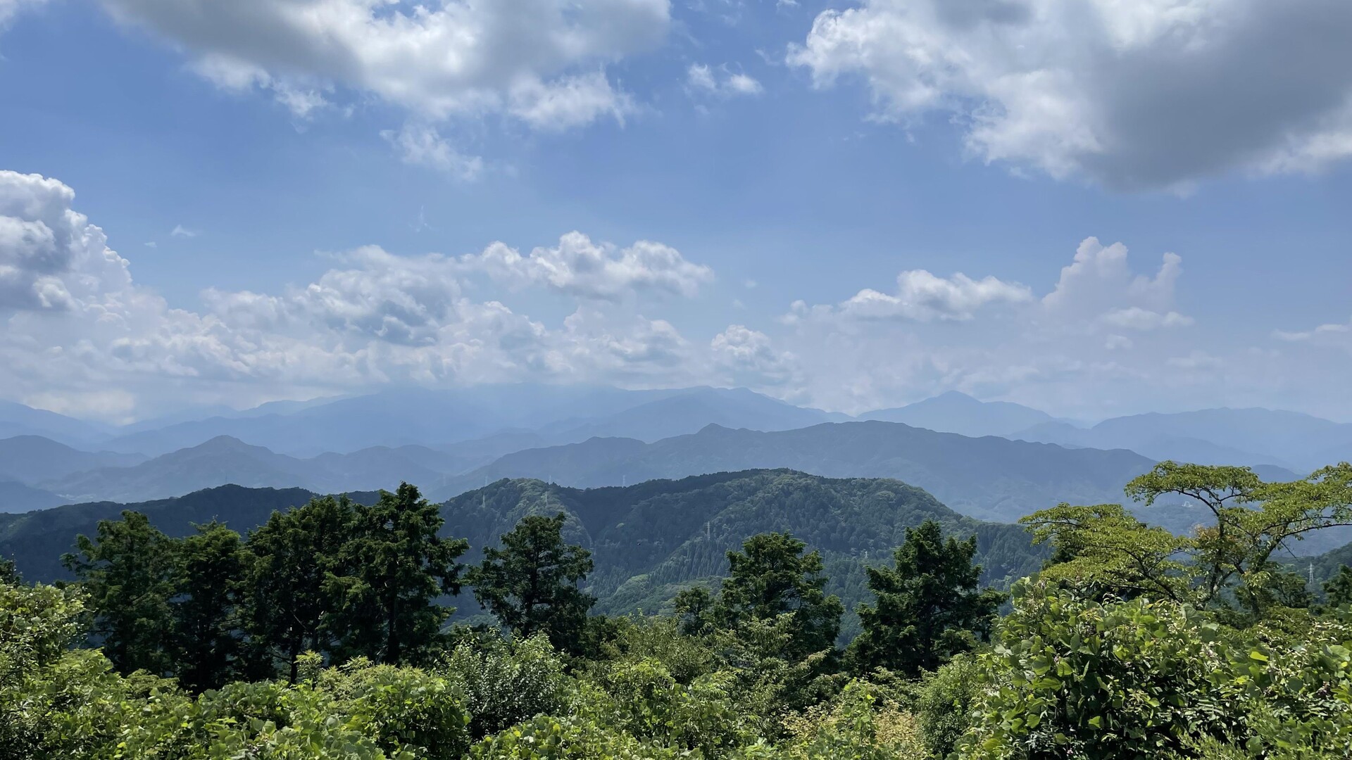 高尾山ビアマウント / dK_Kbさんの高尾山・陣馬山・景信山の活動データ | YAMAP / ヤマップ