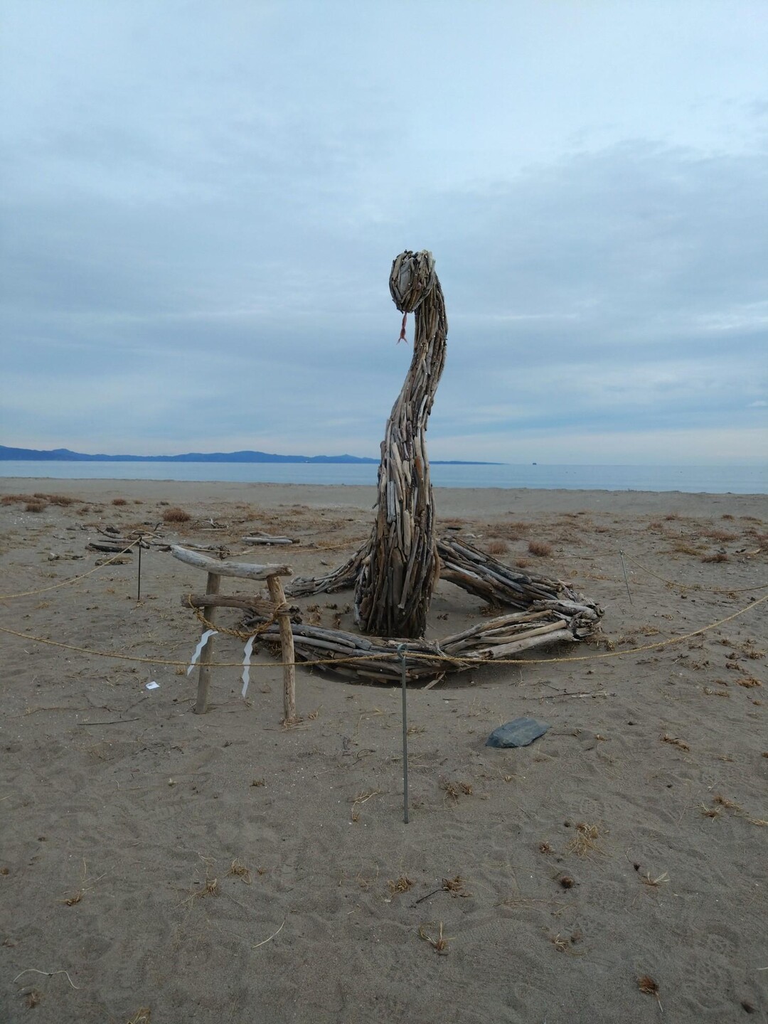 東松島市野蒜海岸に今年の干支であるヘビの... / ma-mamaさんのモーメント | YAMAP / ヤマップ