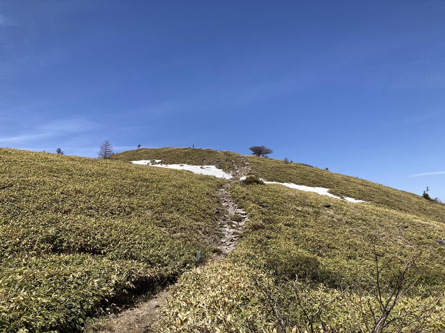 湯ノ丸山 / msさんの湯ノ丸山・角間山・鍋蓋山の活動データ | YAMAP / ヤマップ