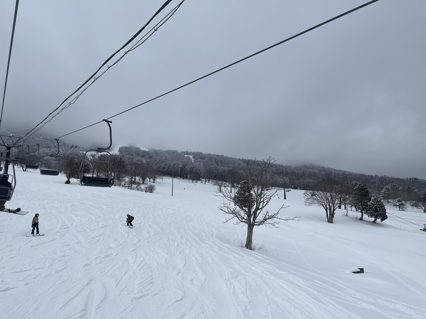 2024.02.04 黒姫高原 ゲレンデ... / fumさんのモーメント | YAMAP / ヤマップ