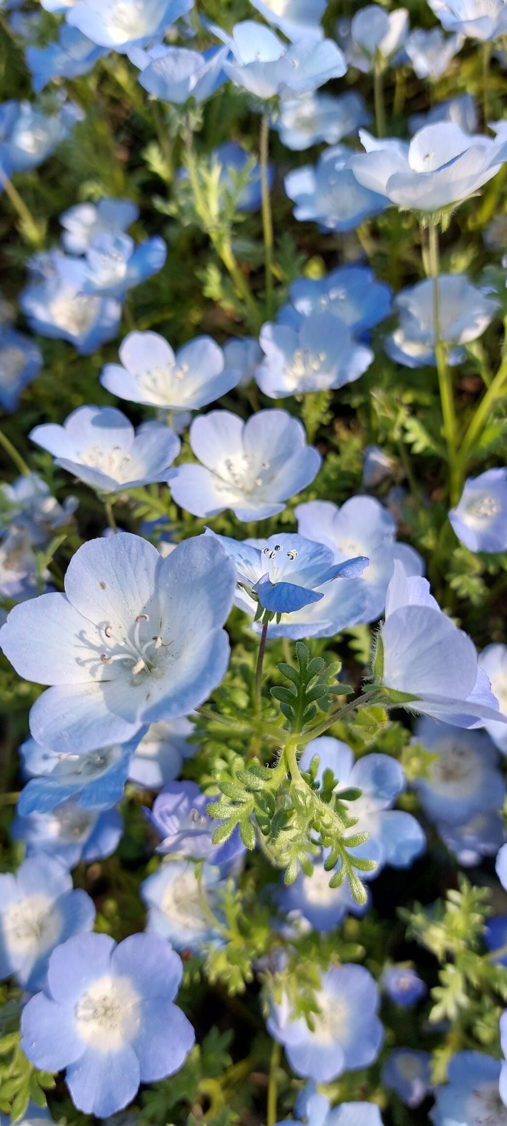 8時間12分、29kmウォーキング-2023-04-22 / eightwoodさんのウォーキングの活動データ | YAMAP / ヤマップ