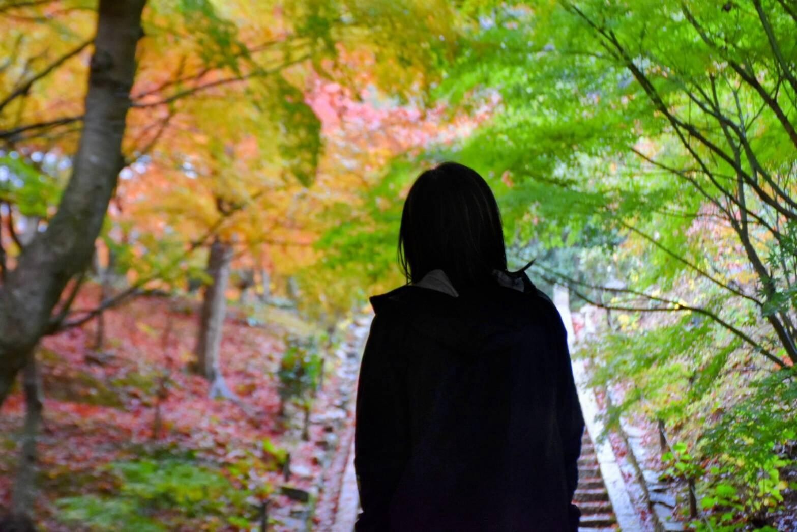 雨の両足寺。 紅葉はしているが去年同時期... / Kei707さんのモーメント | YAMAP / ヤマップ