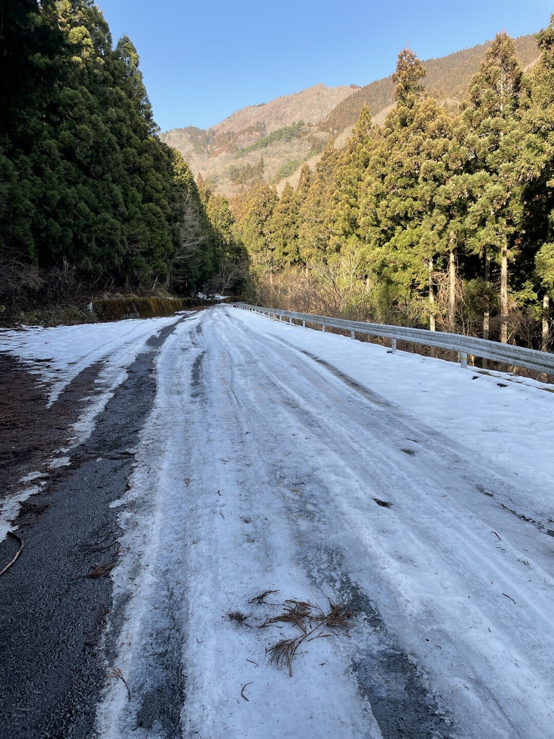 徳島の剣山を目指し、前泊して挑むも、地面... / Shuyaさんのモーメント | YAMAP / ヤマップ