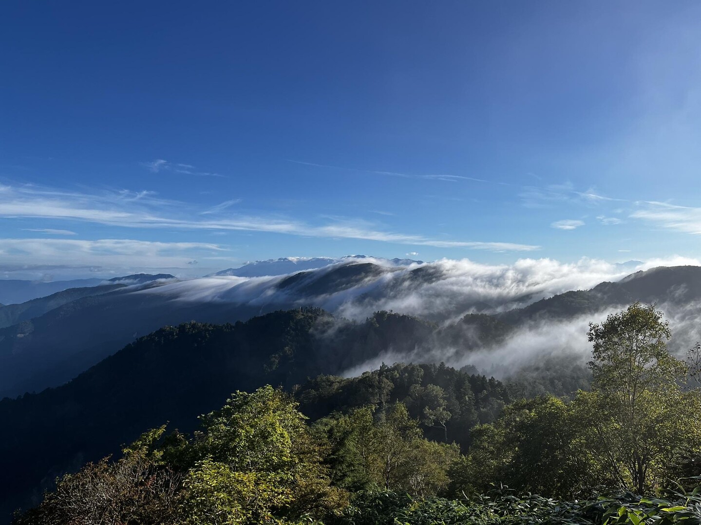 千両山・大判山・恵那山 / masa-m2さんの恵那山・大判山・神坂山の活動データ | YAMAP / ヤマップ