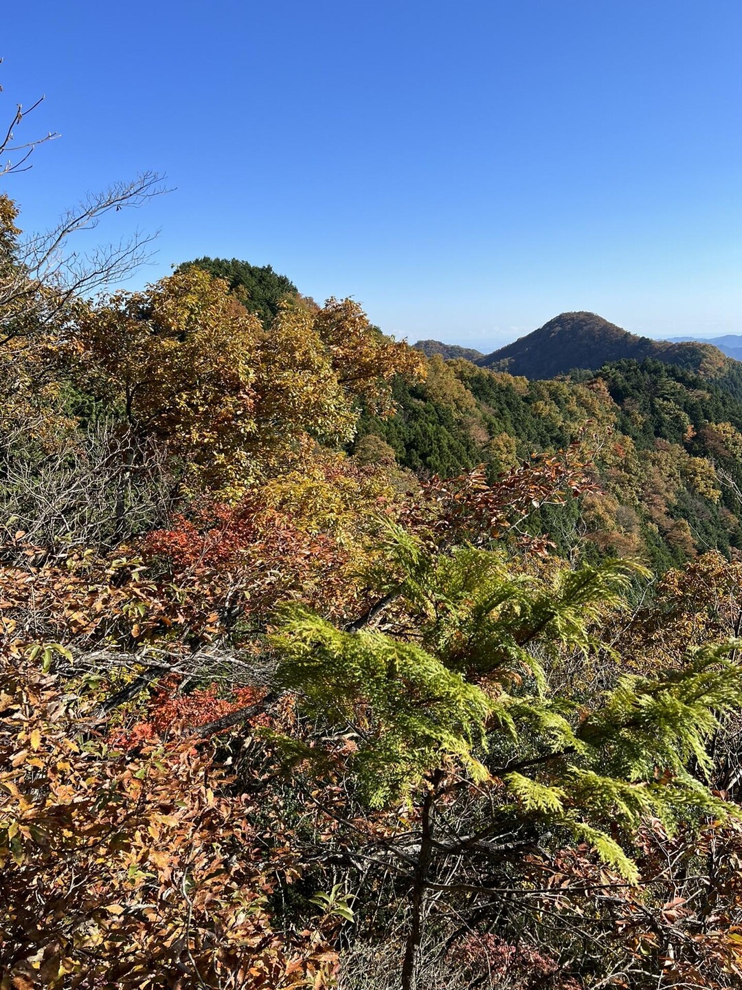 天狗の滝〜馬頭刈山〜瀬音の湯♨️ / tea003さんの大岳山・御岳山・御前山の活動データ | YAMAP / ヤマップ