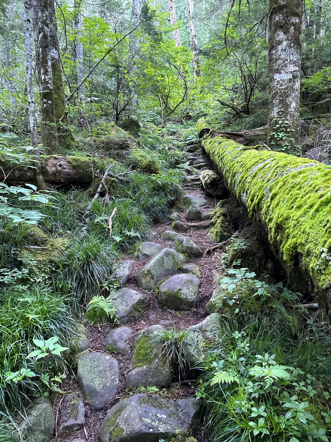 Jangers ジャンガースさんの投稿したフィールドメモ | YAMAP / ヤマップ