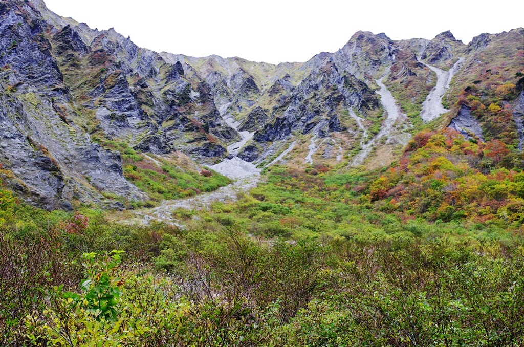 ichi | YAMAP / ヤマップ