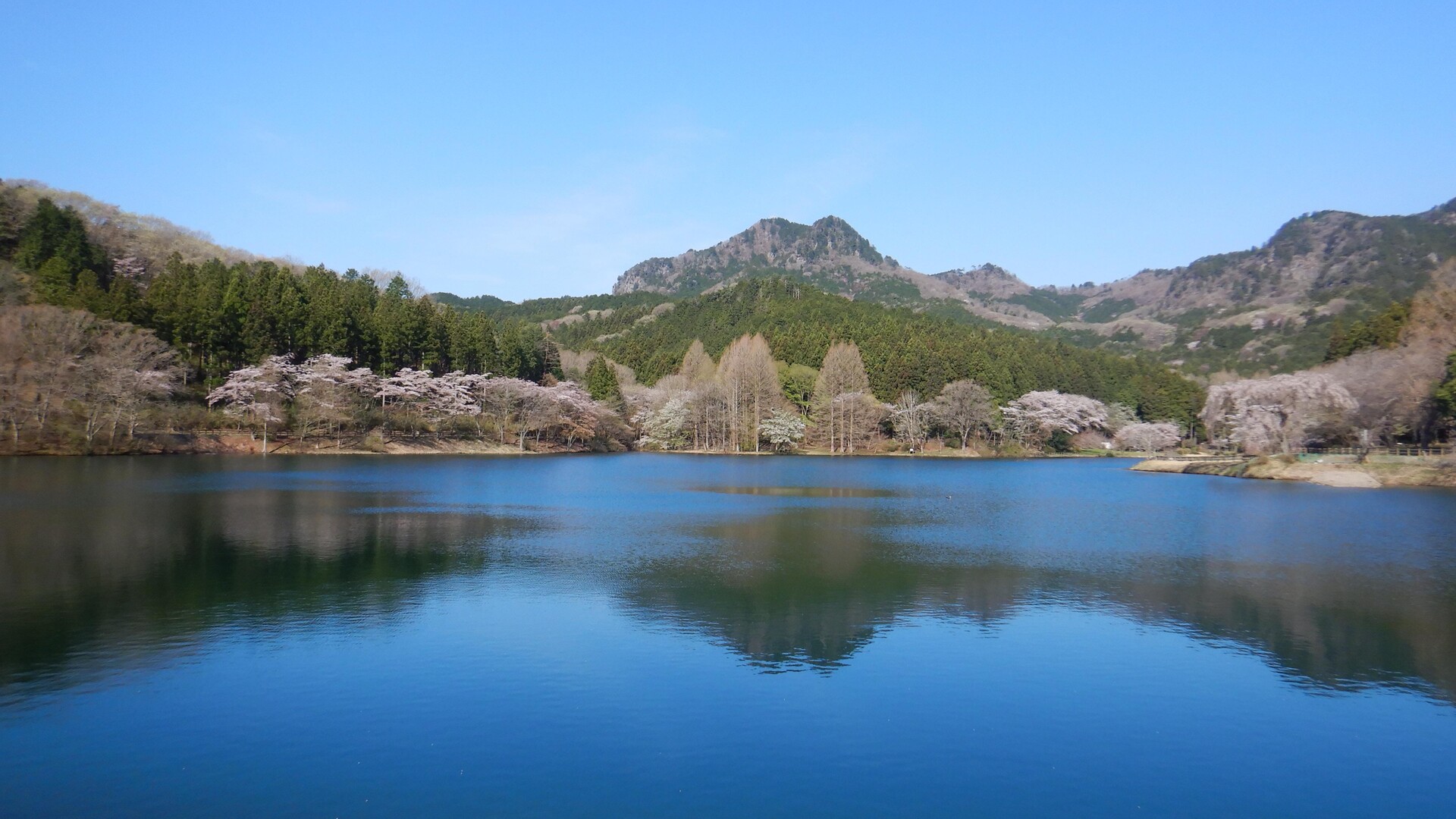 古賀志山🥰🌸 / hama🌟lionさんの古賀志山・赤岩山・鞍掛山・男抱山・半蔵山の活動データ | YAMAP / ヤマップ