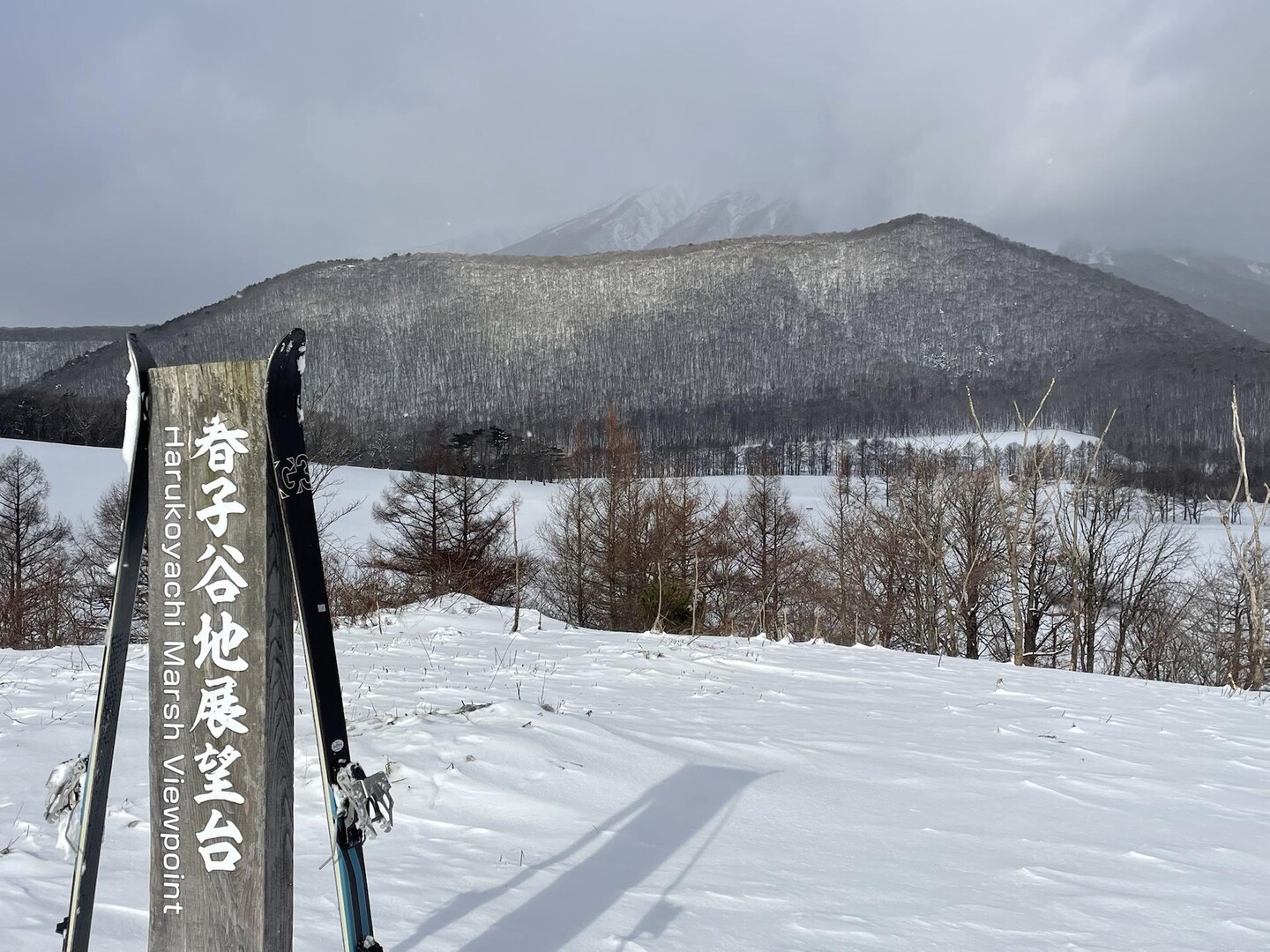 春子谷地スノーハイキング / やまめさんの岩手山・黒倉山・鞍掛山の活動日記 | YAMAP / ヤマップ