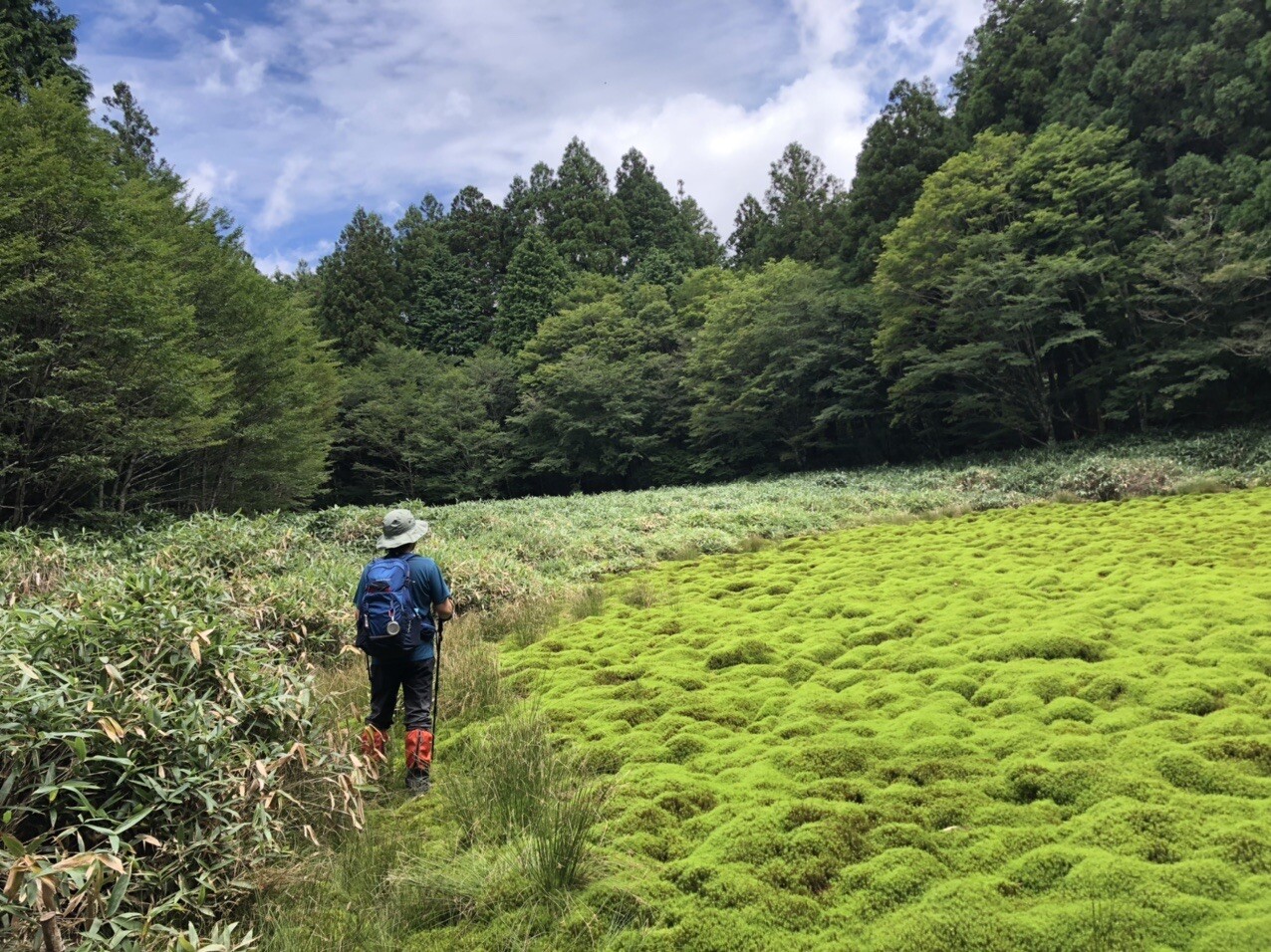 笹倉湿原 / ta3netさんの筒上山・手箱山の活動データ | YAMAP / ヤマップ
