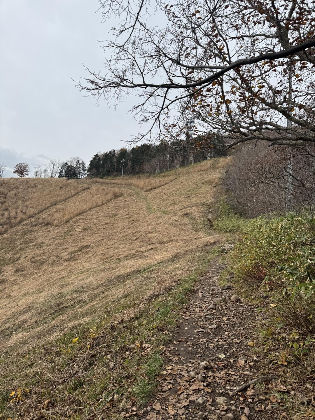 山鼻山・藻岩山 / ASAさんの藻岩山の活動データ | YAMAP / ヤマップ