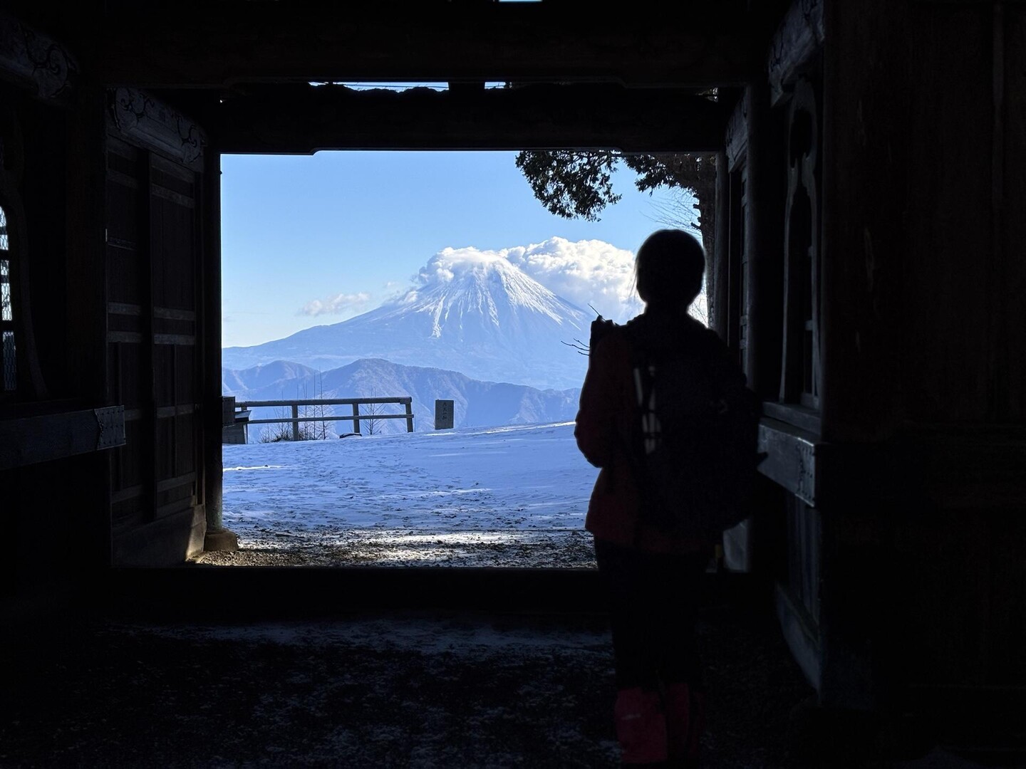七面山【希望峰へのリベンジ】 / shionさんの七面山・身延山の活動日記 | YAMAP / ヤマップ