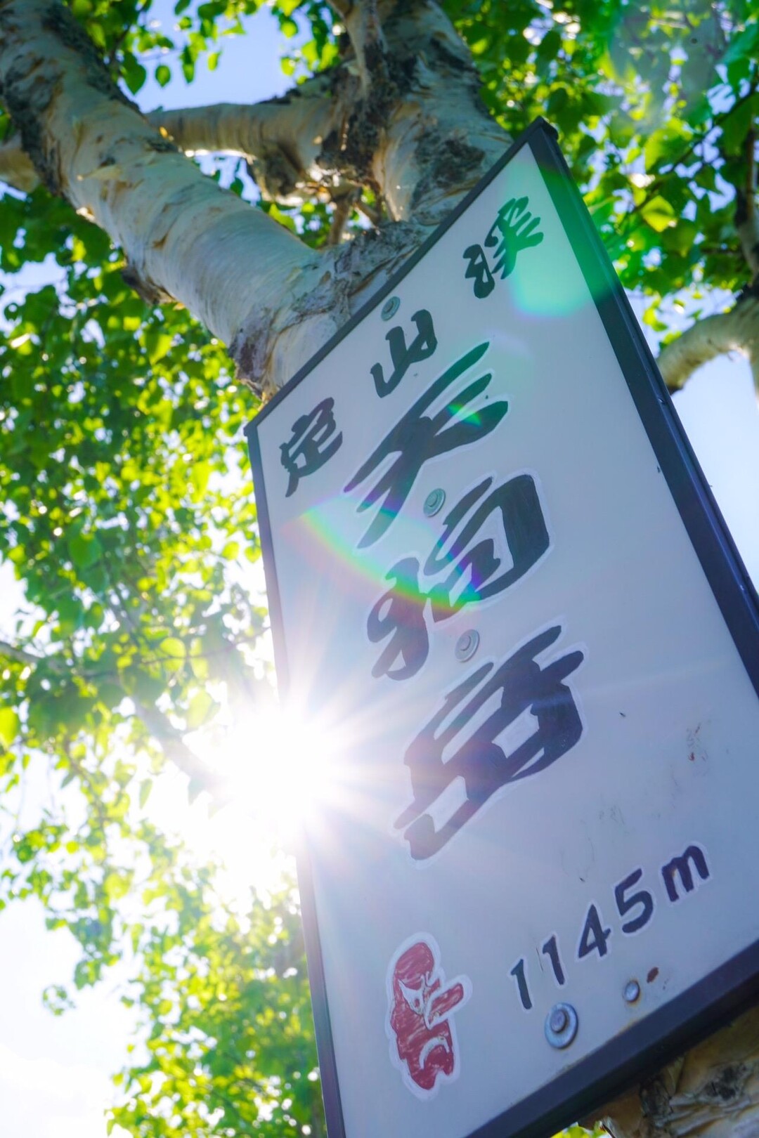 定山渓天狗岳 / goemonさんの余市岳・定山渓天狗岳の活動日記 | YAMAP / ヤマップ