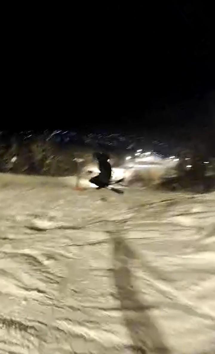 寝る前の1本 https://youtu... / TARIさんのモーメント | YAMAP / ヤマップ