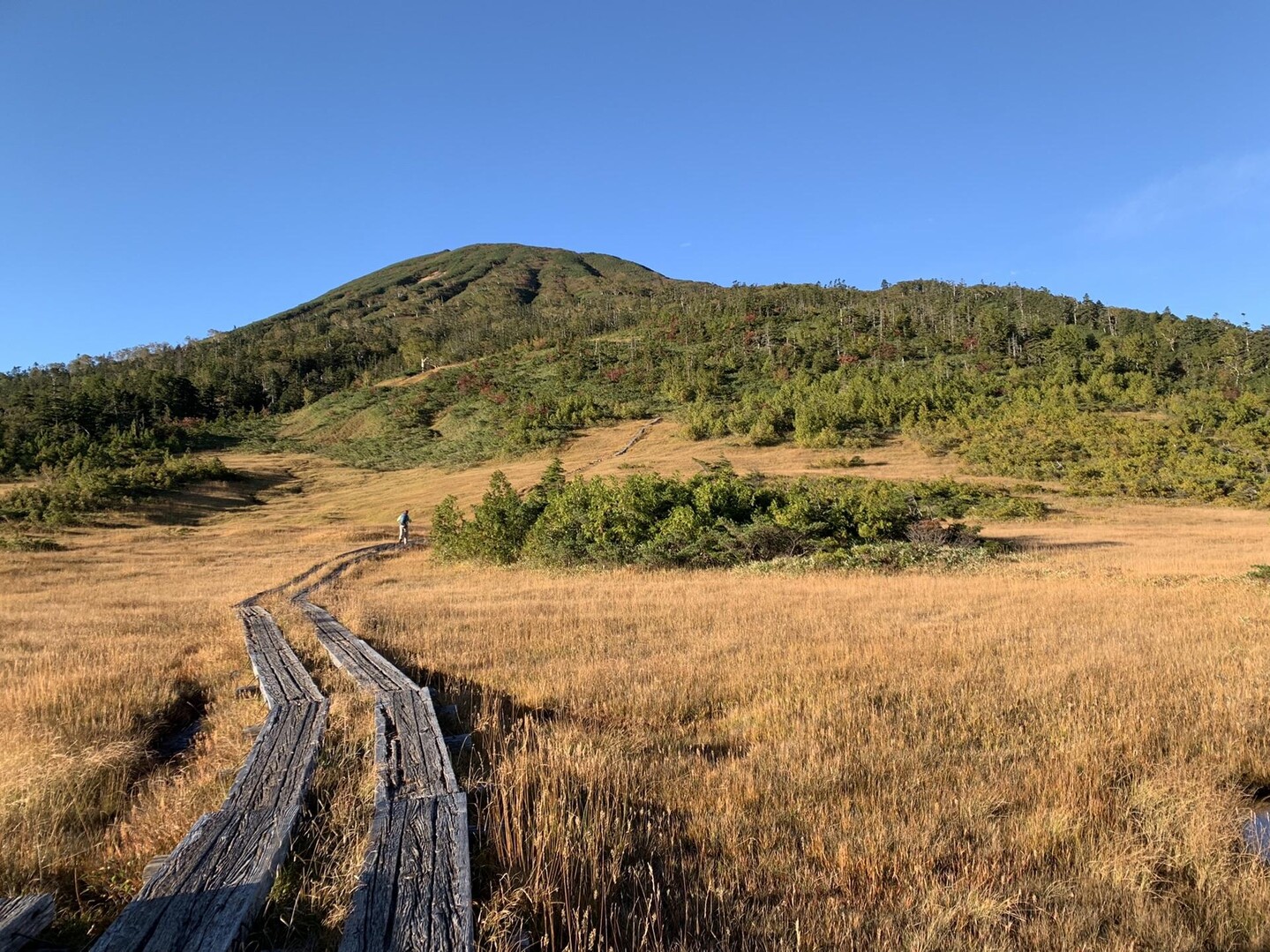 燧ヶ岳 / KO&momさんの尾瀬・燧ヶ岳の活動データ | YAMAP / ヤマップ
